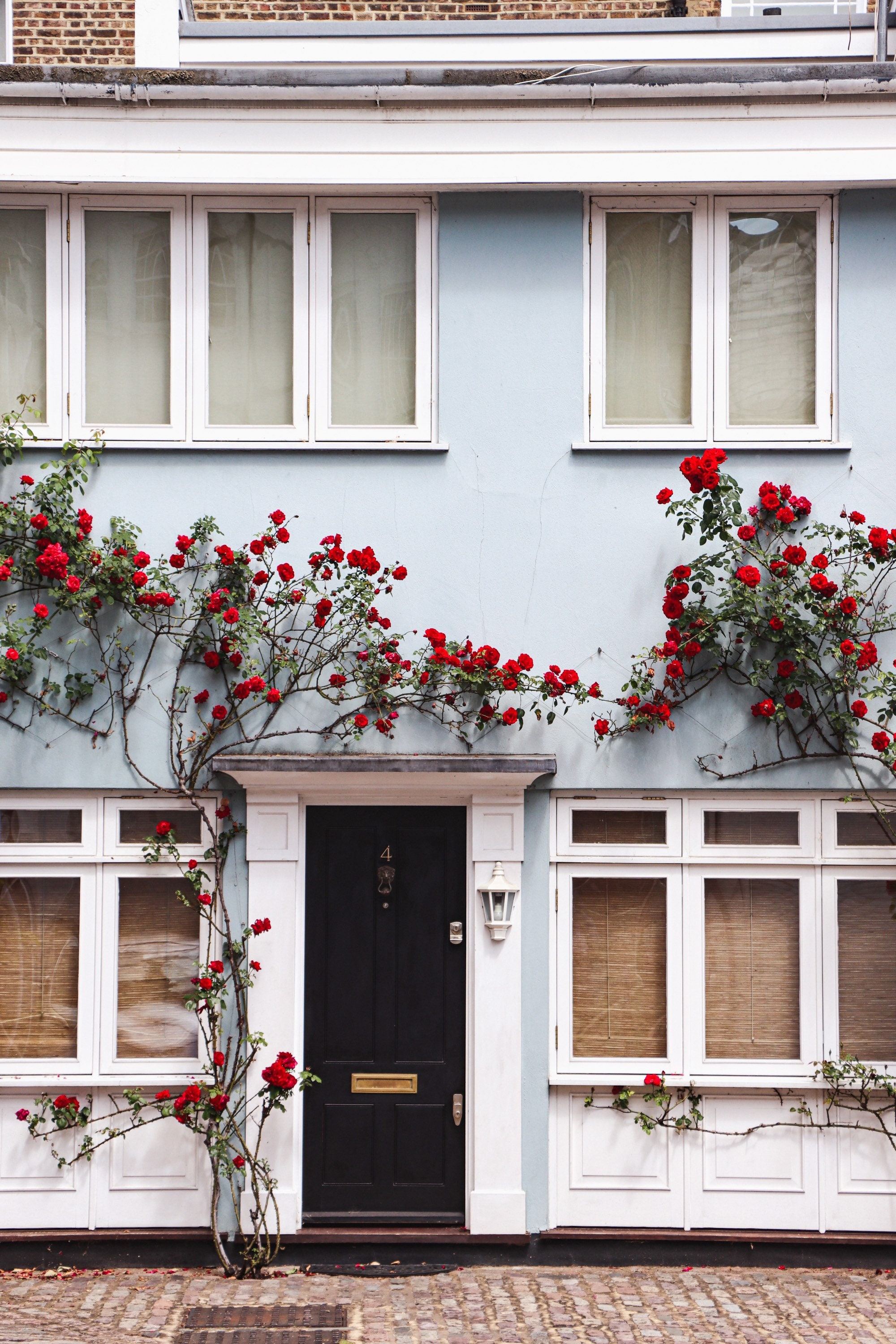 Print of Red Rose Door in Notting Hill, London - Etsy