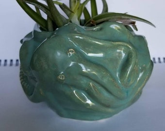 Sealife pottery | Etsy