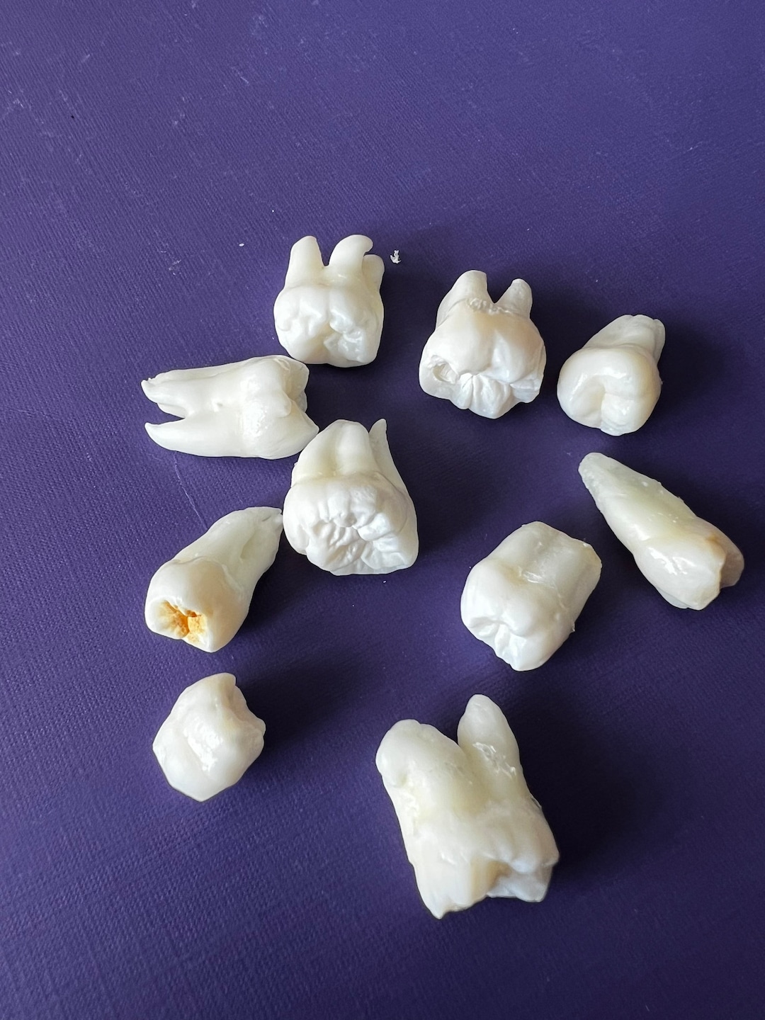 Lot of 10 Real Human Teeth - Etsy