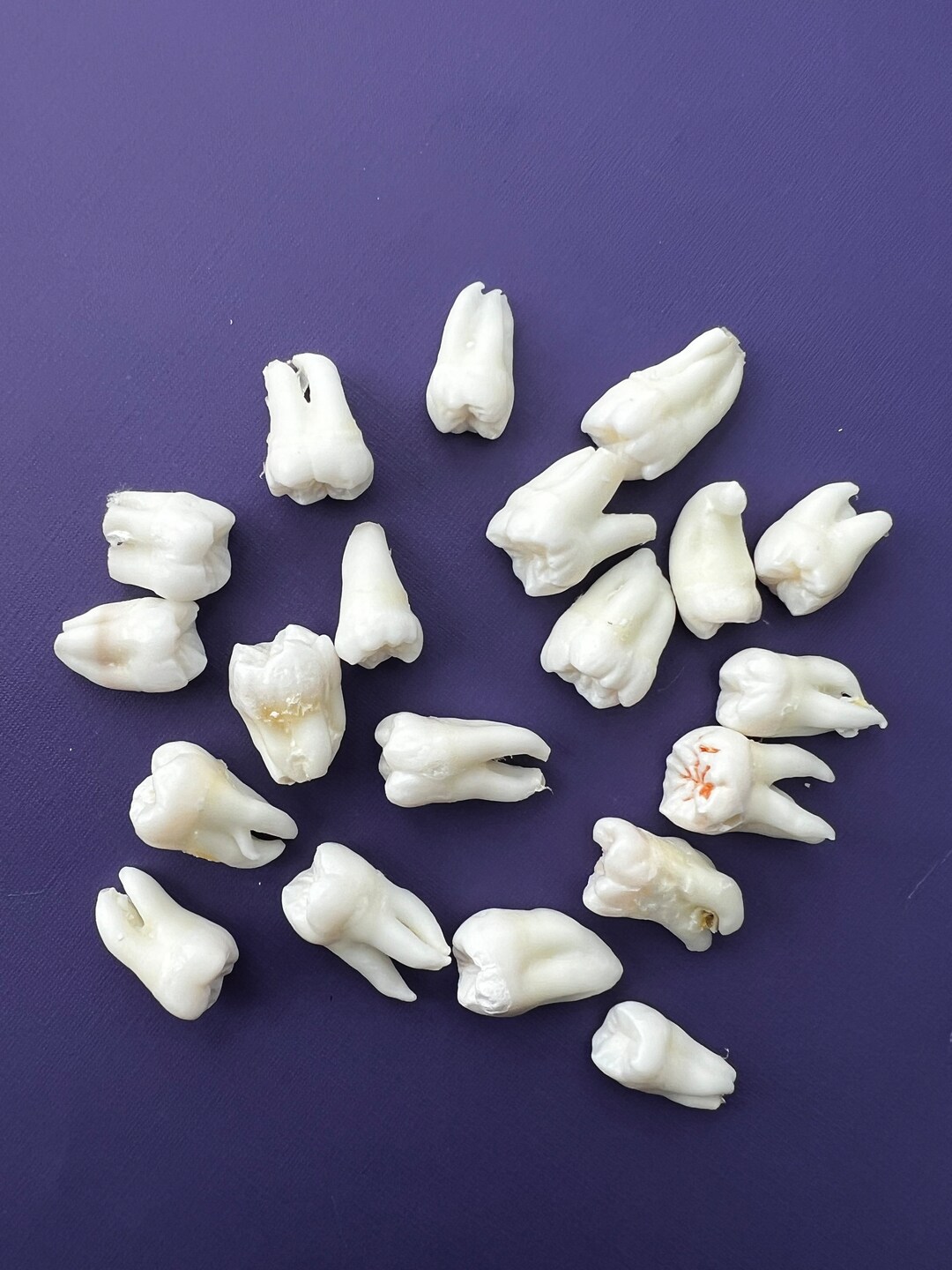 Lot of 20 Real Human Teeth - Etsy