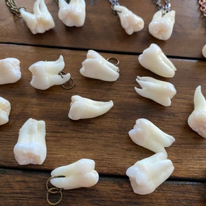 One Real Human Tooth Pendant Necklace - Etsy