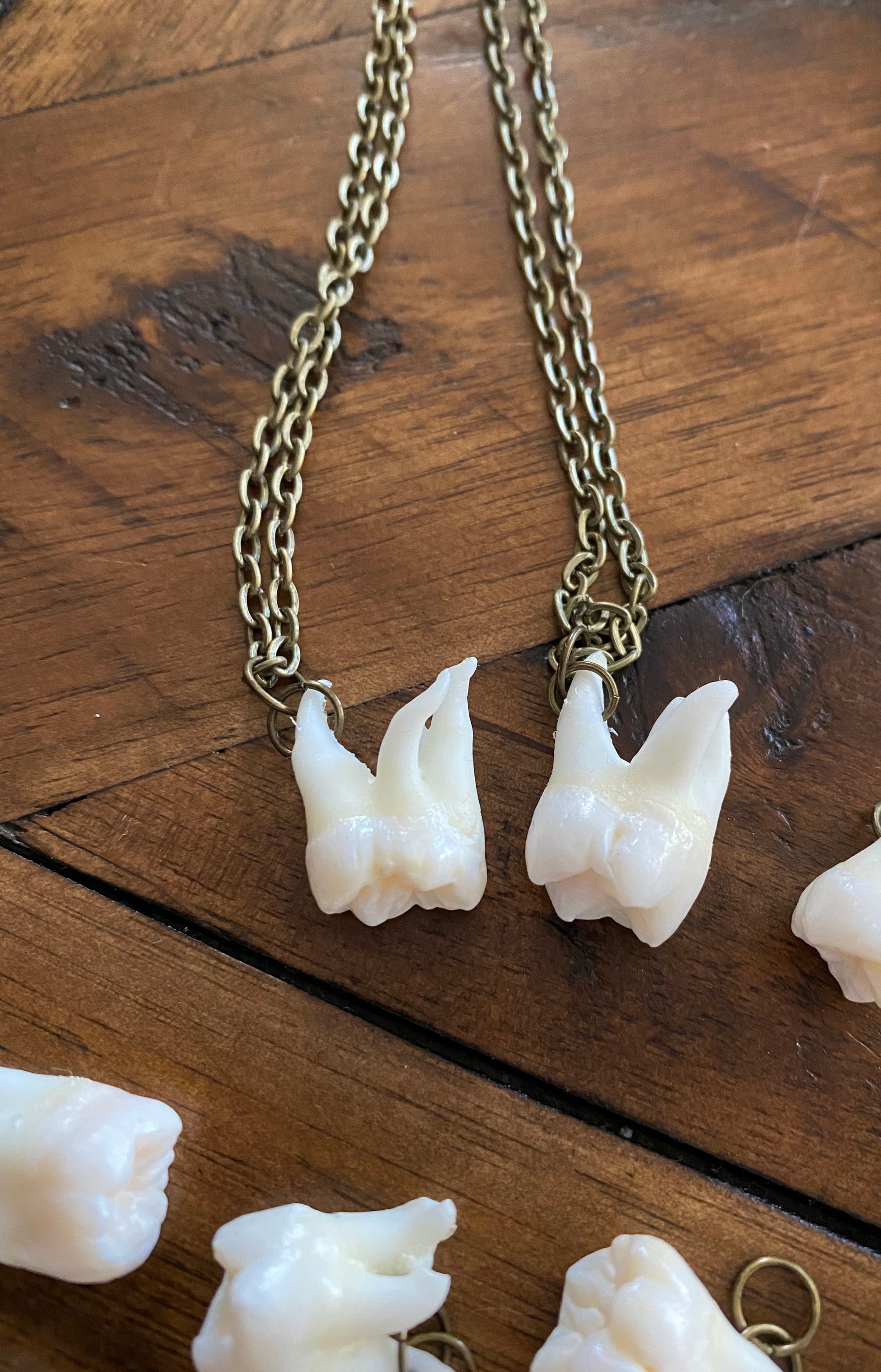 One Real Human Tooth Pendant Necklace - Etsy