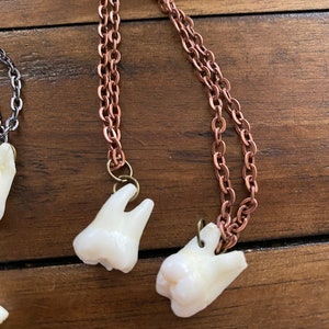 One Real Human Tooth Pendant Necklace - Etsy