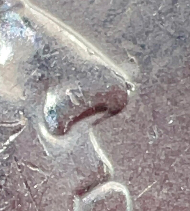 2023 P Edith Kanaka'ole Quarter: Rare Die Error Coin - Etsy