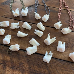 One Real Human Tooth Pendant Necklace - Etsy
