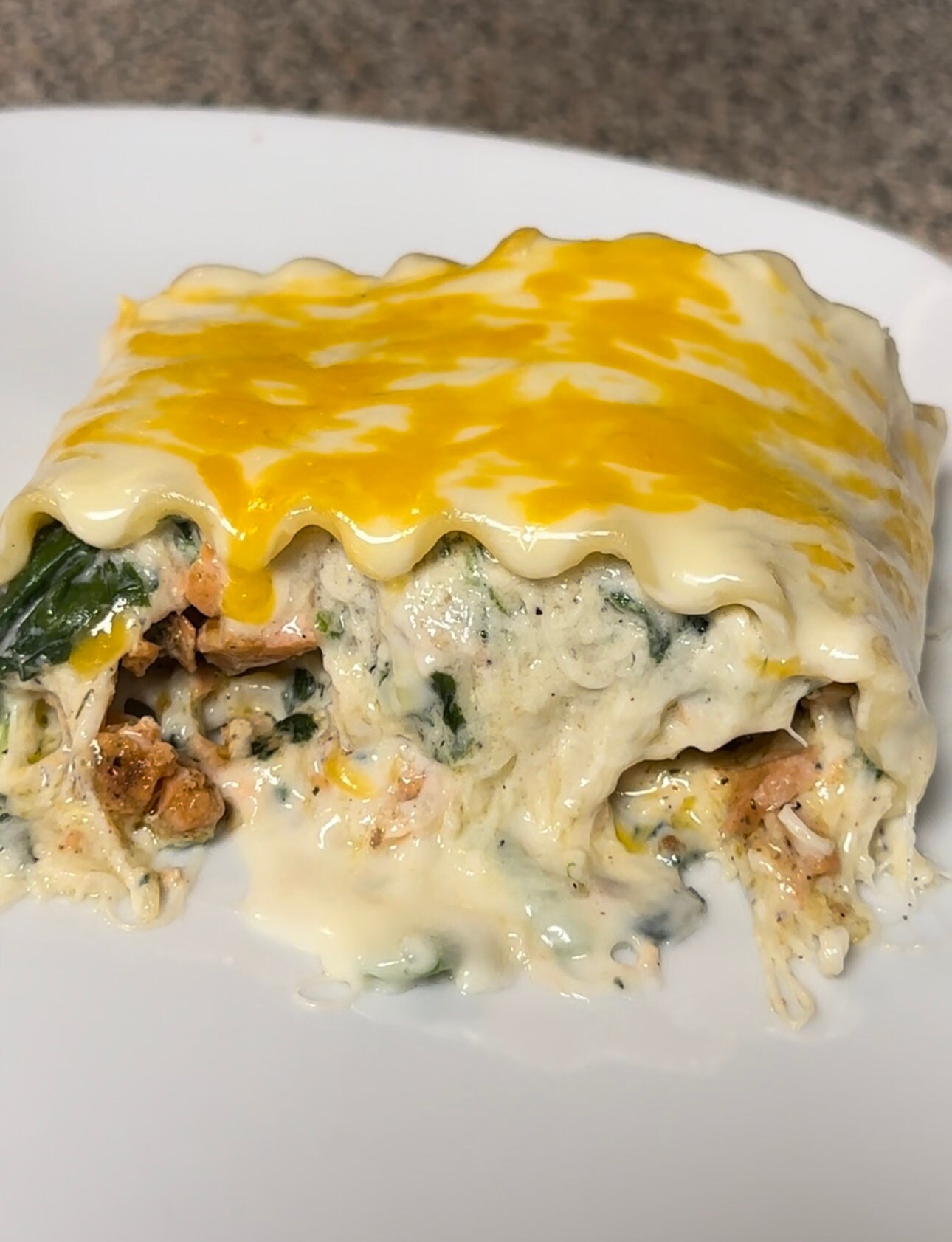 Salmon Lasagna Rollups - Etsy