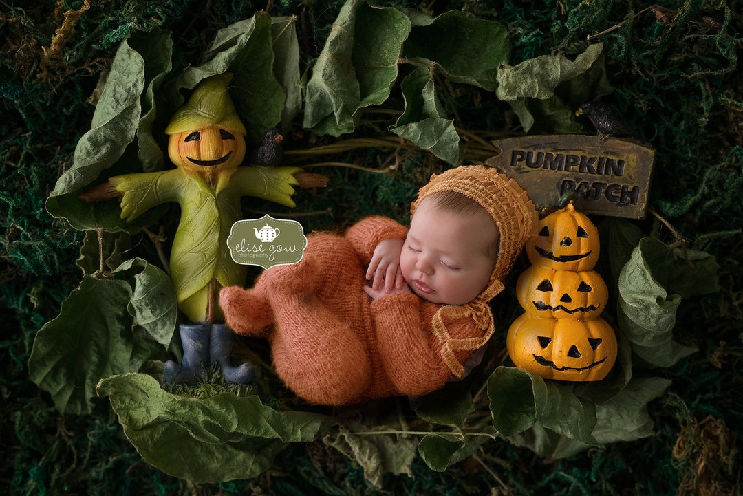 Halloween Newborn Digital Background, Halloween Baby Backdrop, Best ...