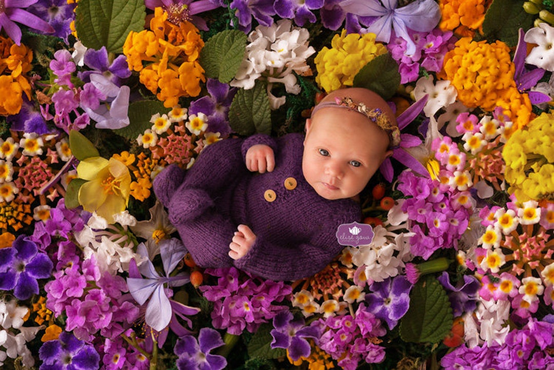 Newborn Digital Backdrop Photography Prop Floral Spring Digital ...