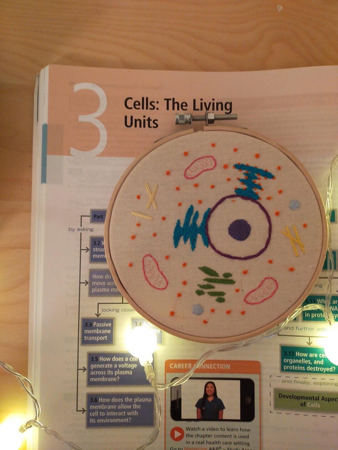 Animal Cell Handmade Embroidery Hoop Art, Biology, Medicine, Anatomical ...