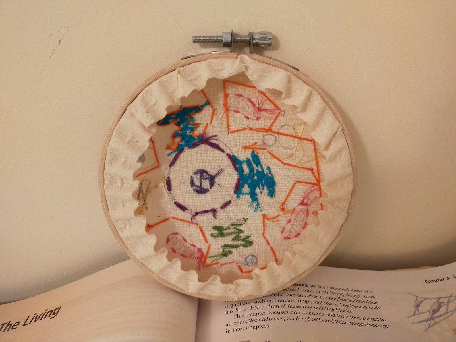 Animal Cell Handmade Embroidery Hoop Art, Biology, Medicine, Anatomical ...
