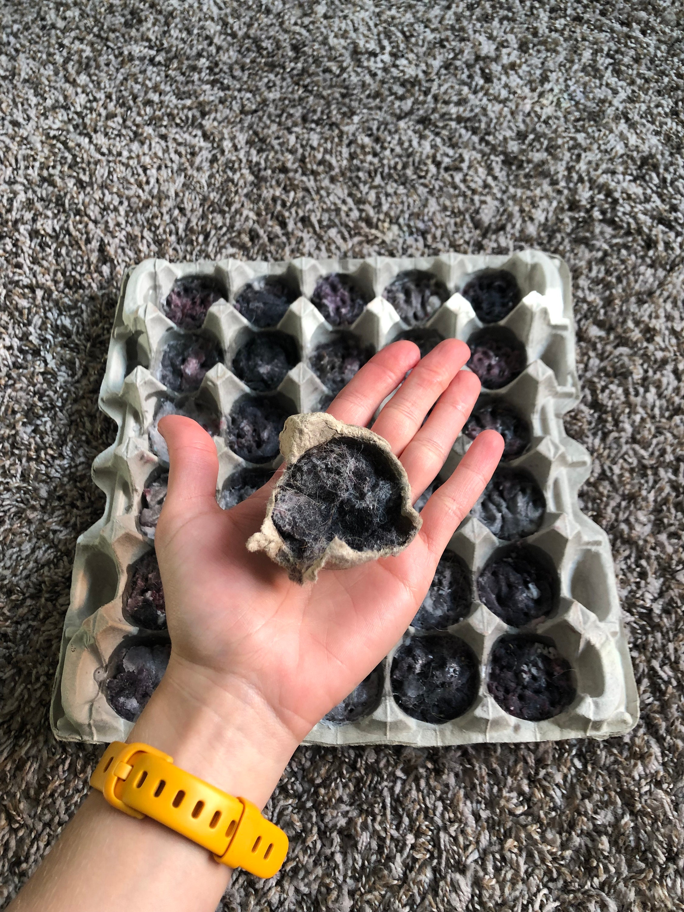 Recycled Paper and Wax Egg Carton Fire-starters - Etsy