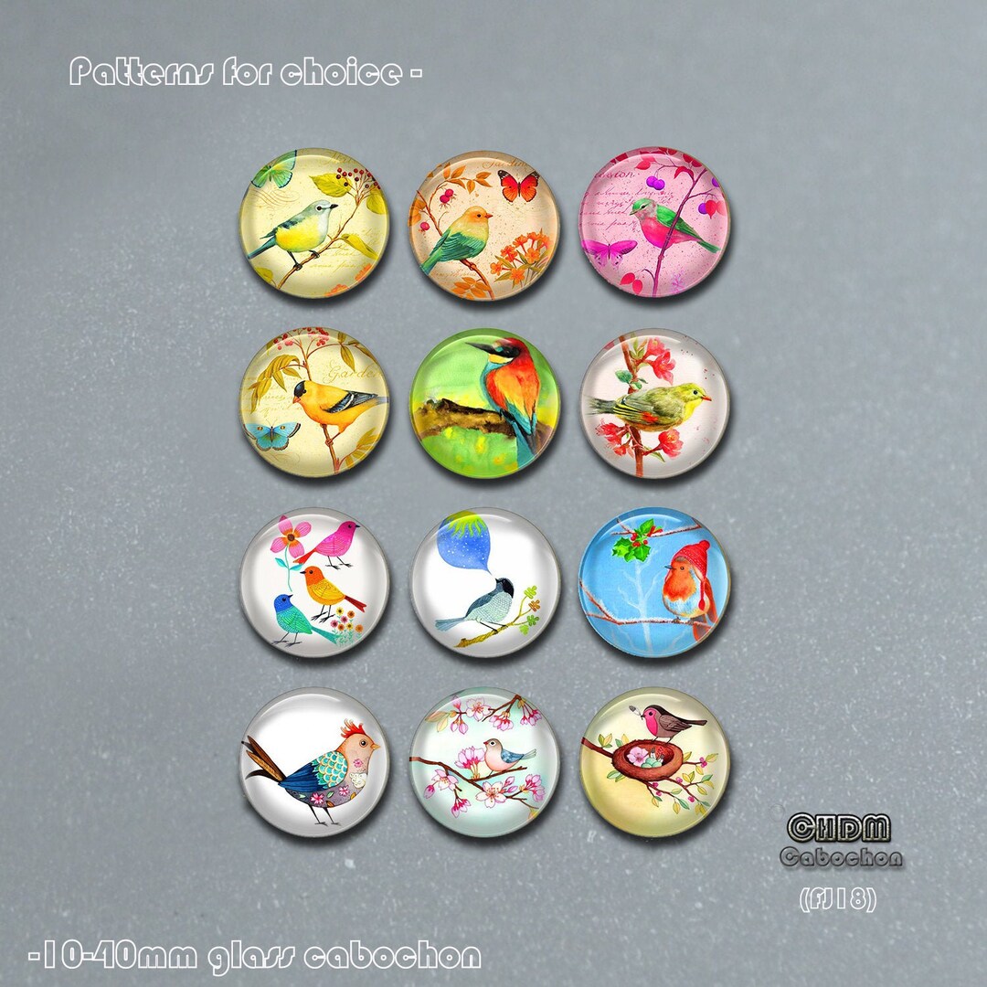 DIY Bird Cabochon Snap Button,birds Glass Dome Snap ,10mm 12mm 14mm ...