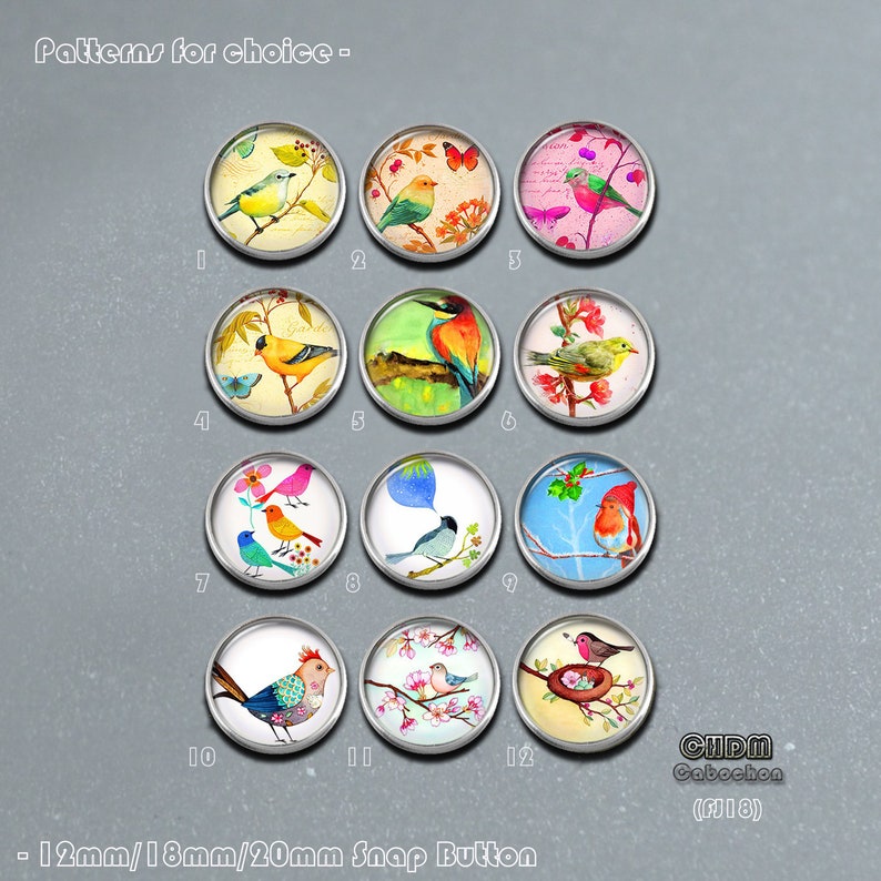 DIY Bird Cabochon Snap Button,birds Glass Dome Snap ,10mm 12mm 14mm ...