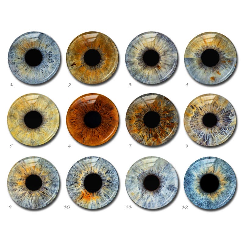 Round Glass Human Eyeball - Etsy