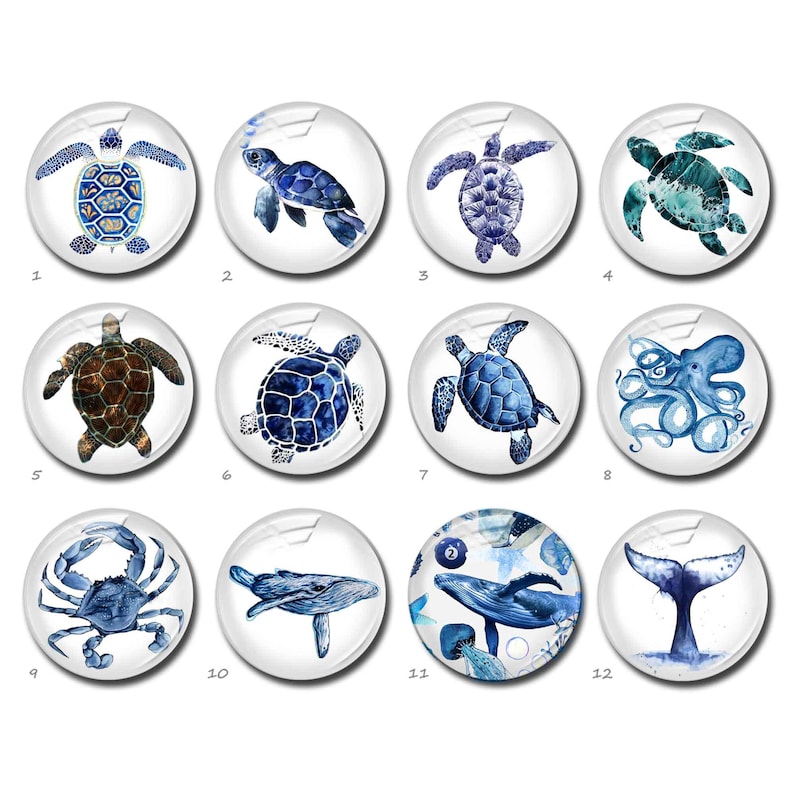 Blue Turtle Cabochon, Sea Turtle Image Glass Dome, Sea Animal Picture ...