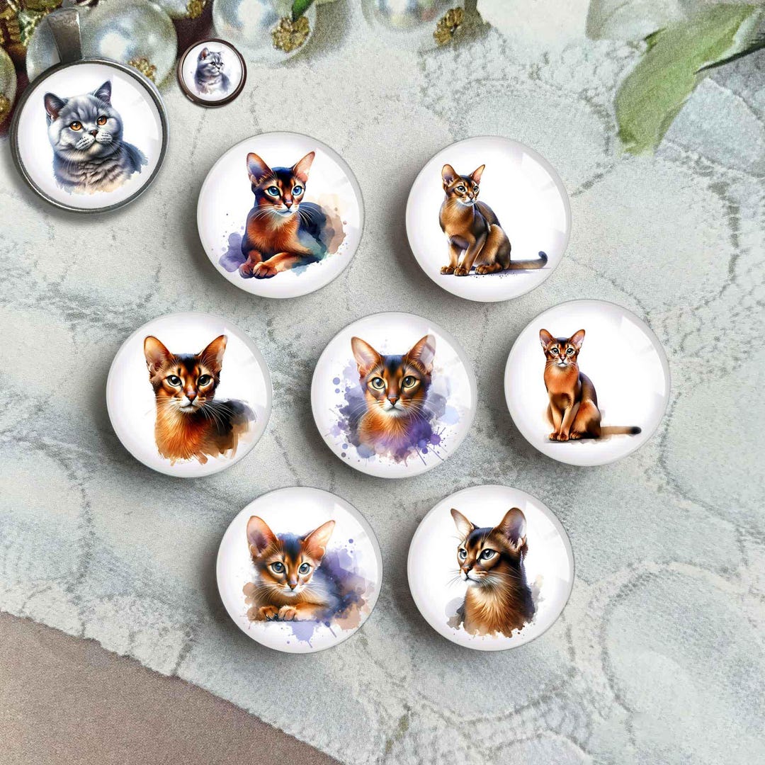 Abyssinian Cat Cabochon,cat Image Glass Dome, Animal Picture Cameo ...