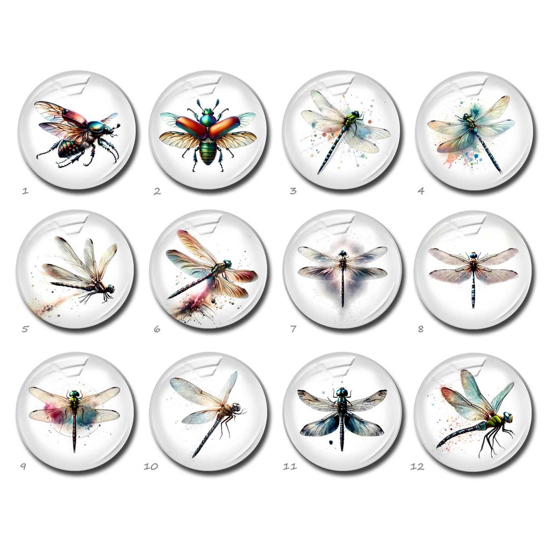 Dragonfly Cabochon, Dragonfly Image Glass Dome, Insects Picture Cameo ...