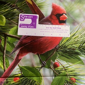 Bird Fabric Panel Artisan Birds & Berries Quilt Panel Cotton Fabric ...