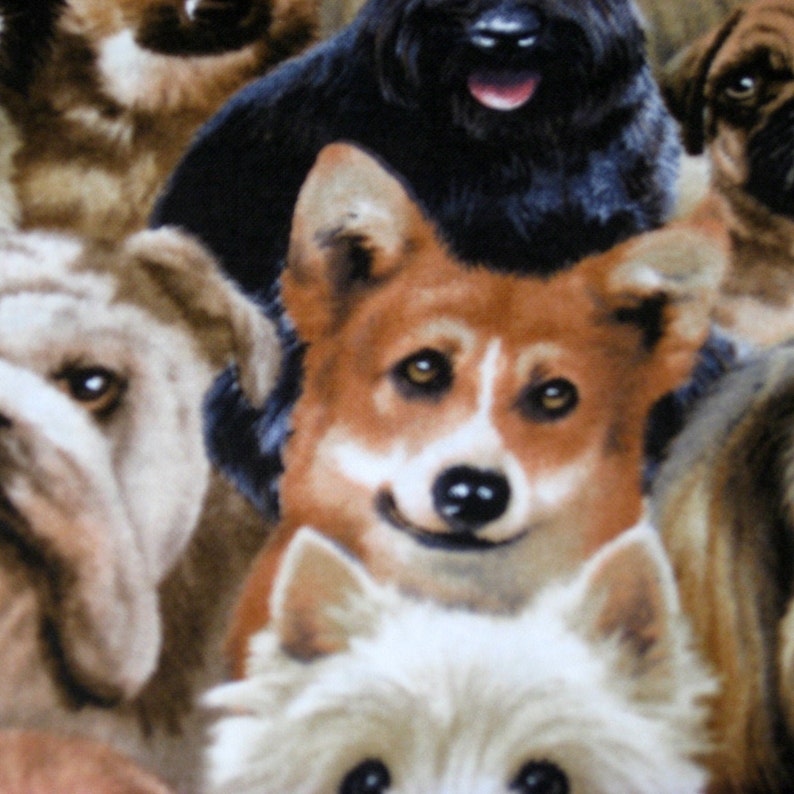Dog Cotton Fabric, Petpourri Print, Quilting Sewing, Half Yard - Etsy