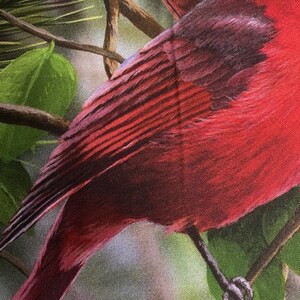 Bird Fabric Panel Artisan Birds & Berries Quilt Panel Cotton Fabric ...