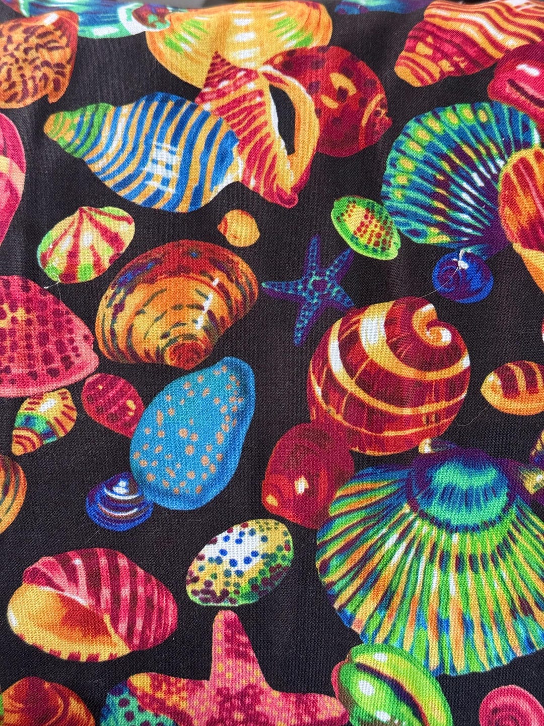 Sea Shells Cotton Fabric, Large and Small on Black, by the Yard ...