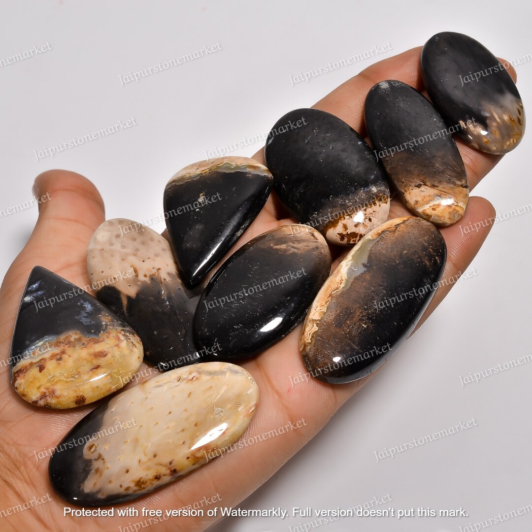 Top Quality Palm Root Agate, Palm Root Cabochon, Wholesale Agate Stones ...