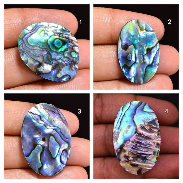 Blue Abalone Shell - Etsy