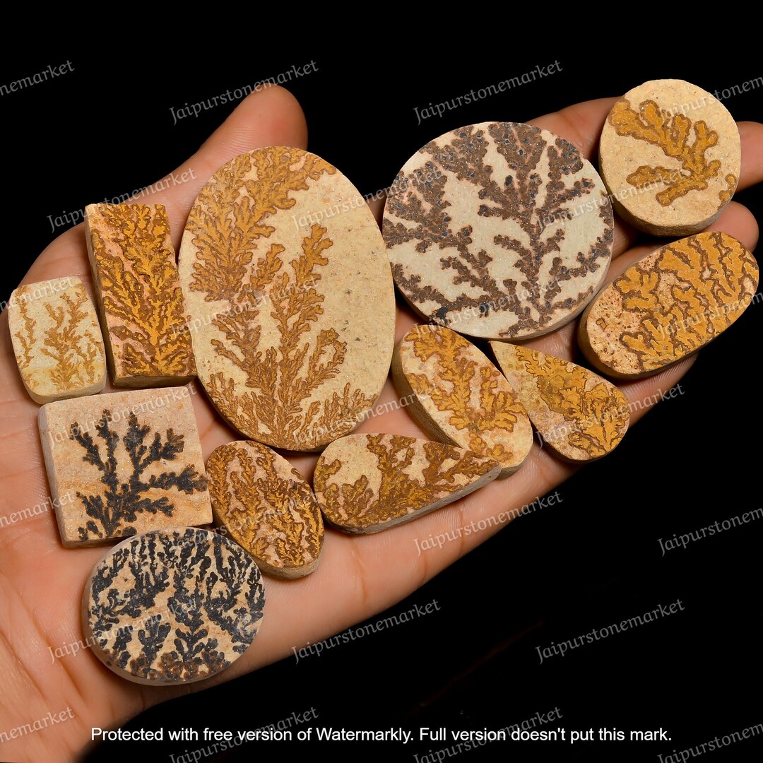 Dendritic Limestone - Psilomelane Dendrite - Leaf Jasper - Natural ...