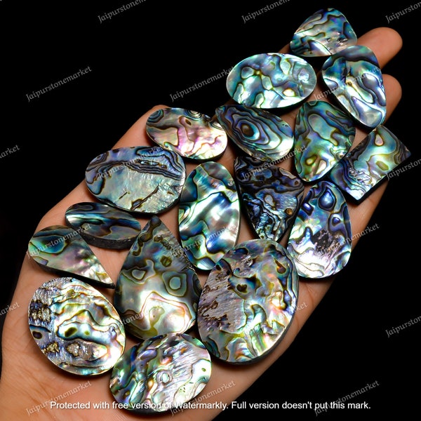 Paua Shell Pieces - Etsy