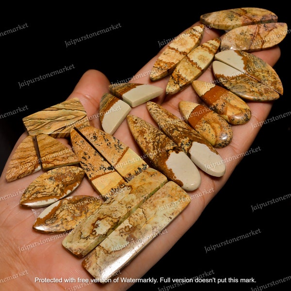 Owyhee Picture Jasper - Etsy