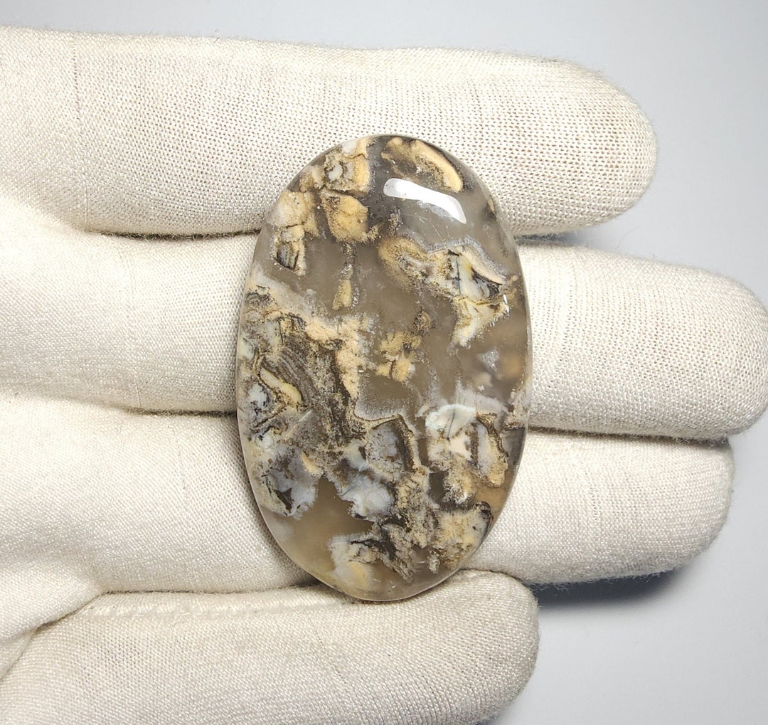 A1 Quality Dendrite Tiger Agate Cabochon Dendrite Tiger Agate Gemstone ...