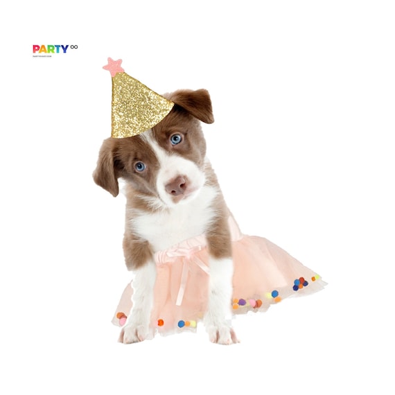 Dog Birthday Photo Booth Props | Puppy Birthday Party Decoration | Hat ...