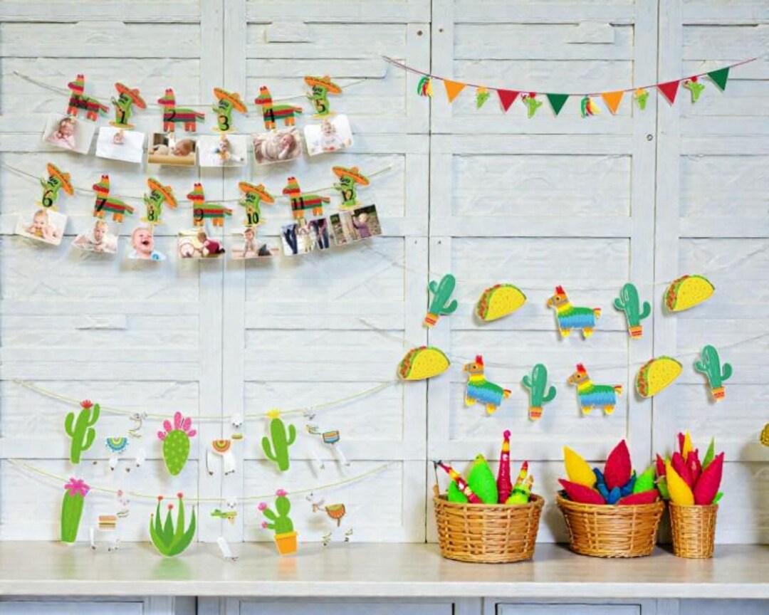 Mexican Fiesta Bunting Banner: Taco Bar, Llama, Cactus, Pepper ...
