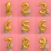 66th Rose Gold Number Balloon 66th Birthday Party - Etsy
