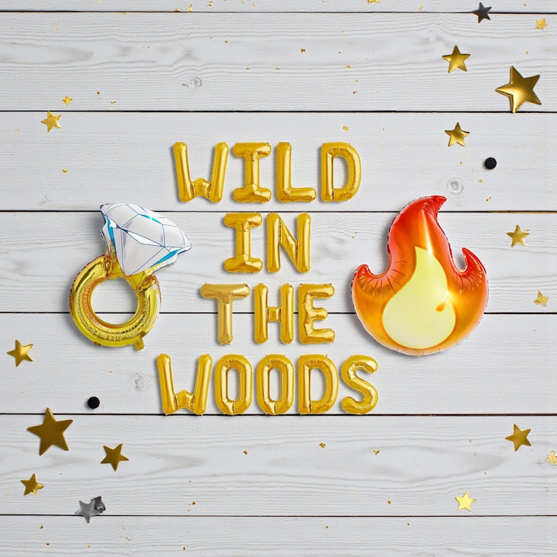 Cabin Bach Party Balloons - Etsy