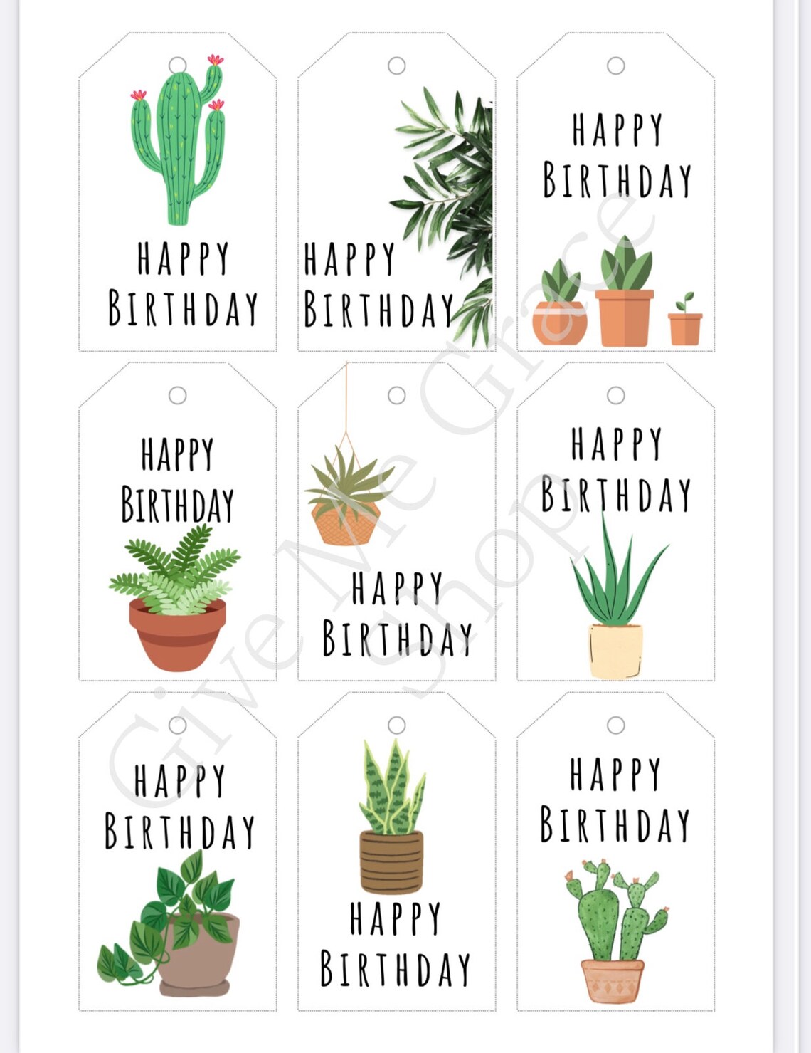 Printable Plant Birthday Gift Tags, Succulent Theme (digital Download ...