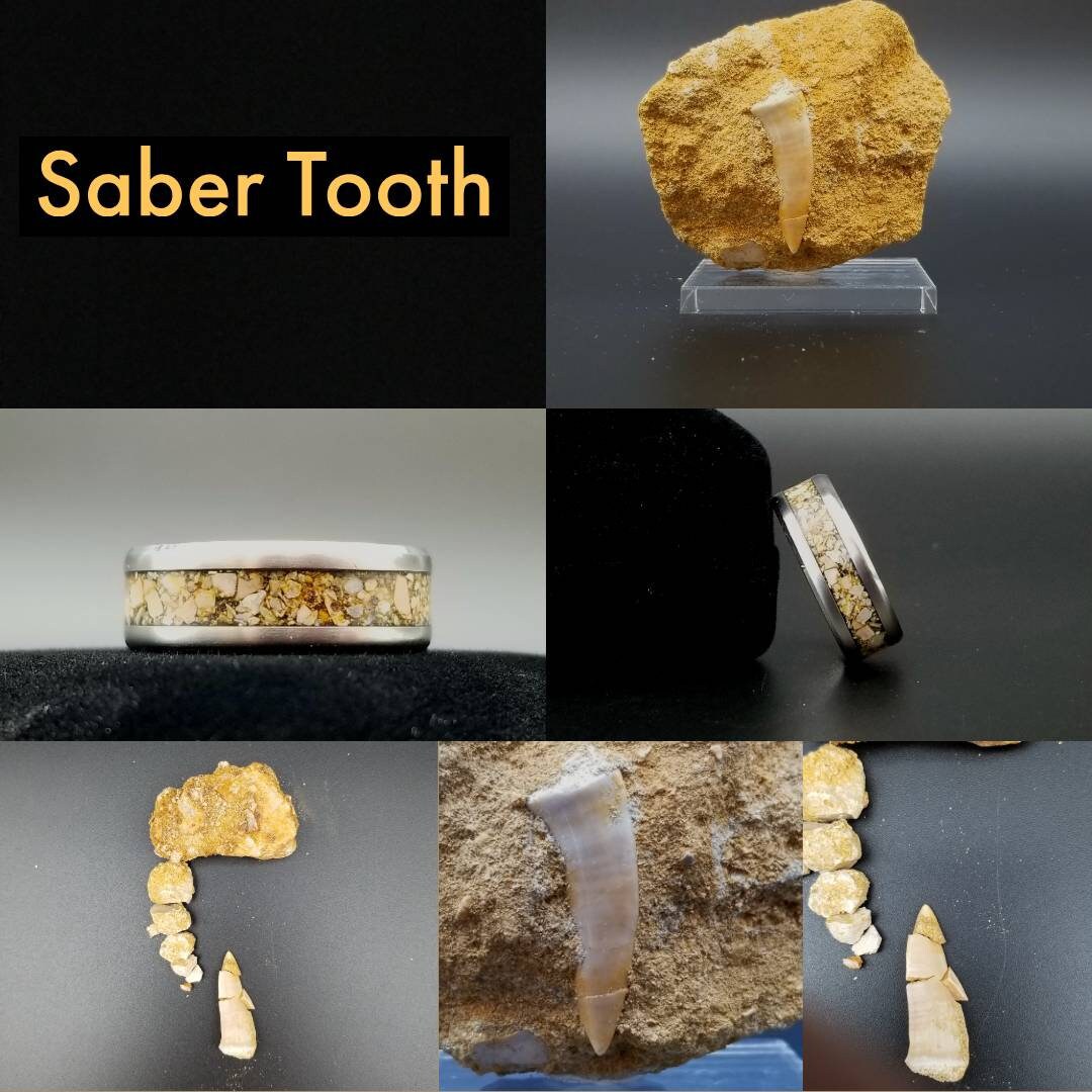 Saber Tooth Dinosaur Tooth Inlayed Into a Ring - Etsy