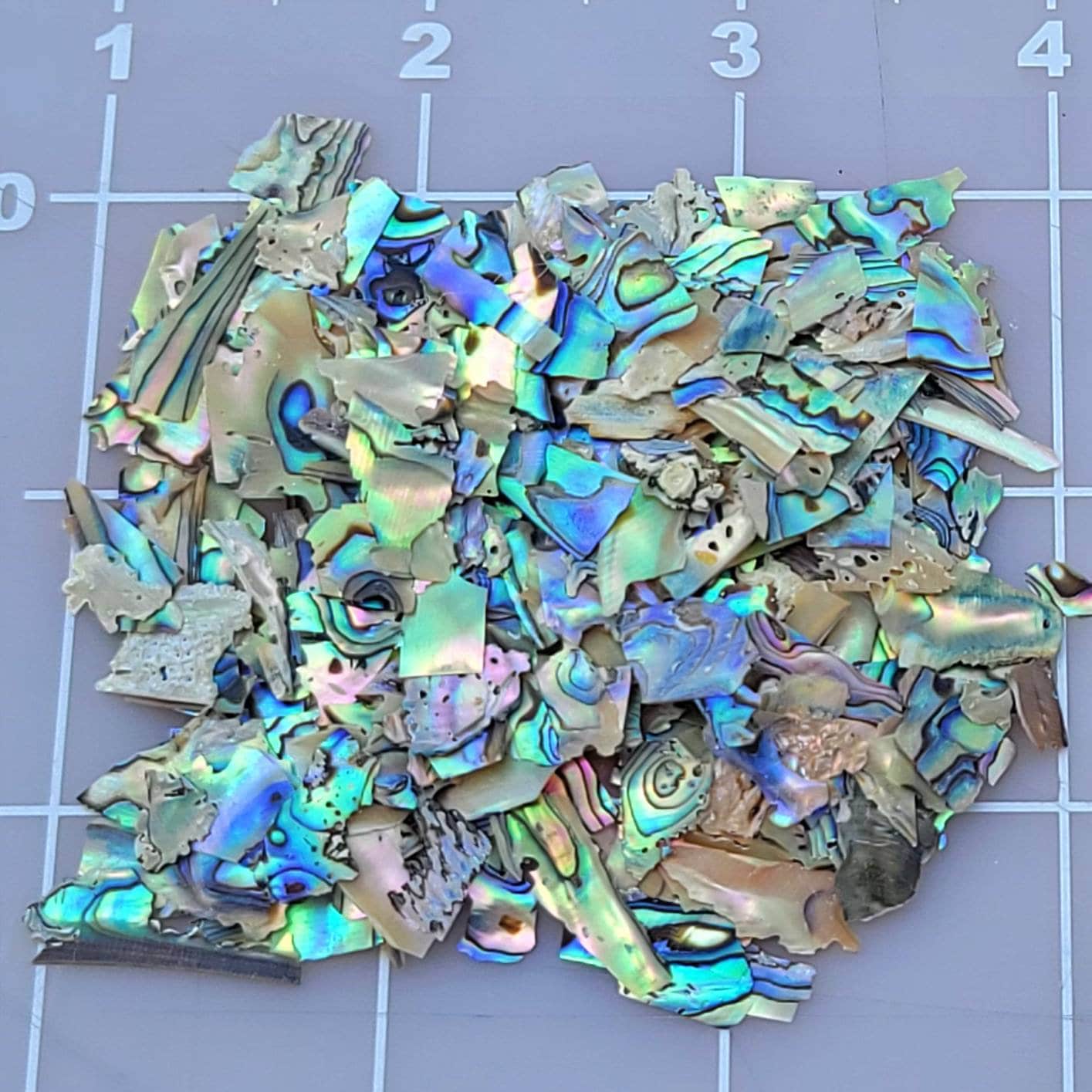 Crushed Abalone Shell - Etsy