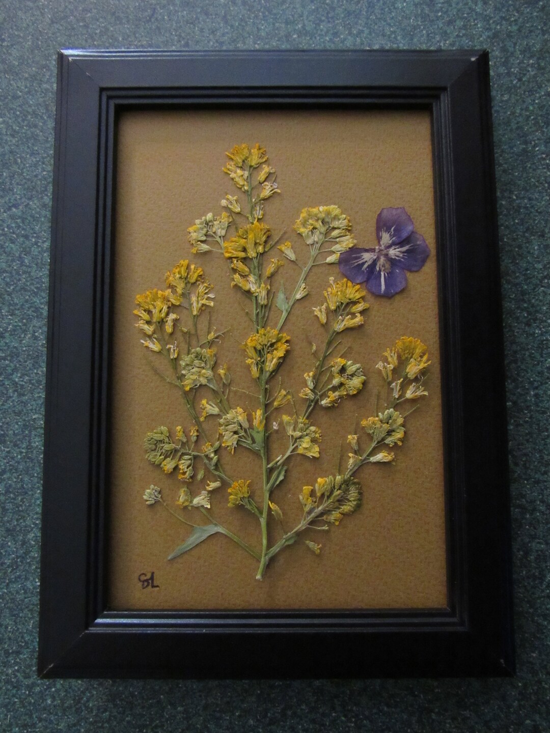 Dried Pressed Framed Flowers - Etsy