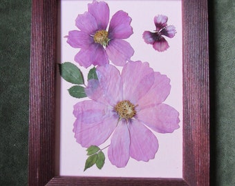 Framed Pressed Flowers - Etsy