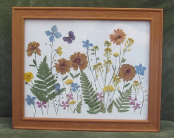 Framed Pressed Flowers - Etsy