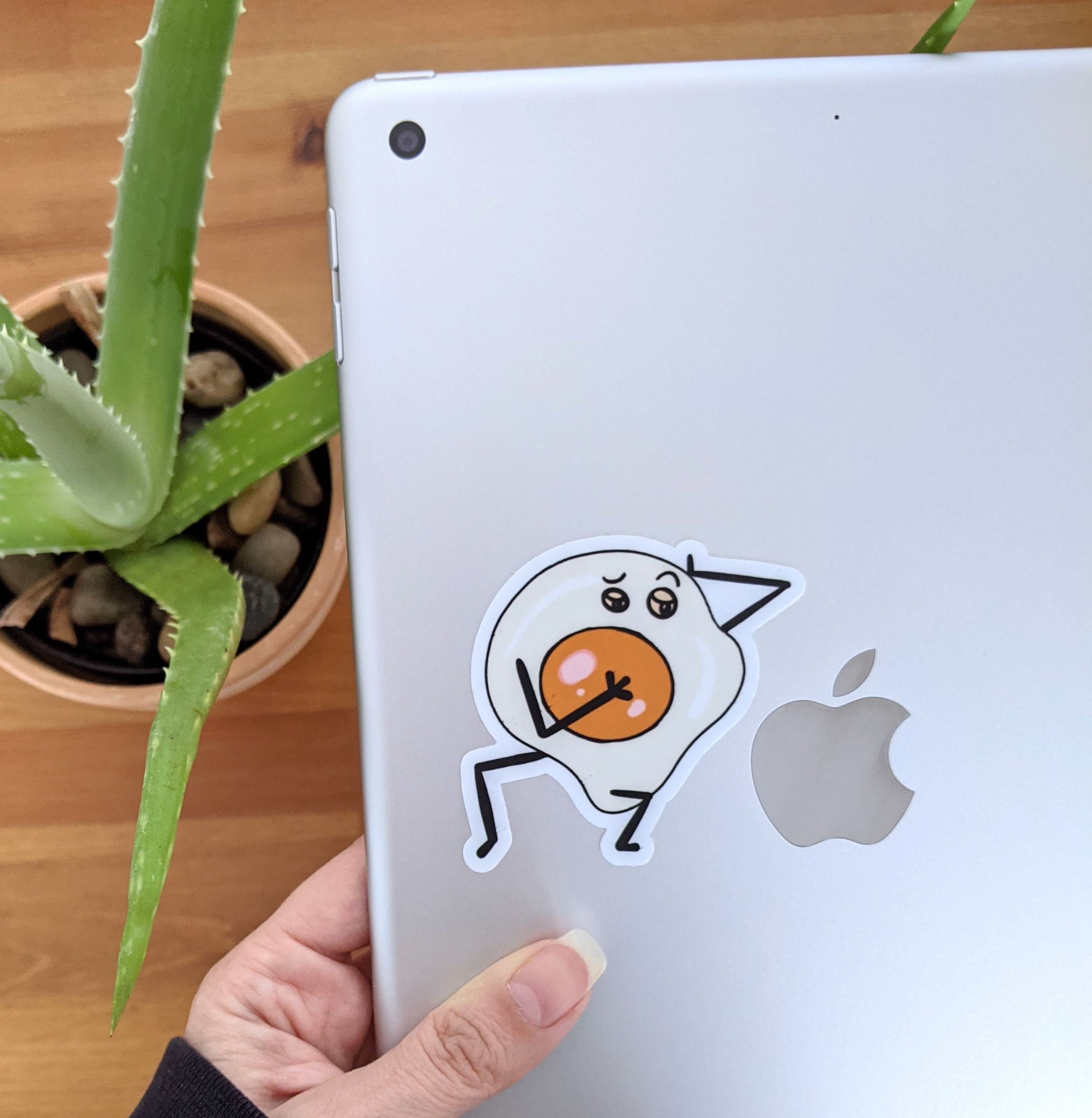 Egg Stickers, Sunny Side up Sticker, Laptop Sticker, White, Cartoon ...