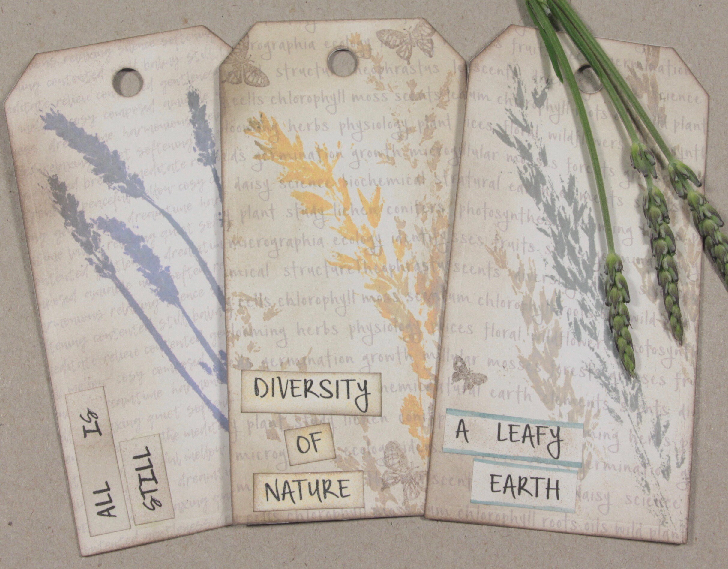 Background Words SET 2 Entomology, Calming, Botanical, Birthday Digital ...