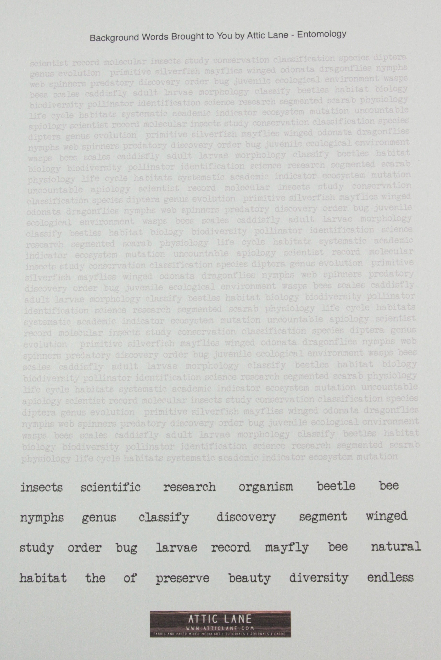 Background Words SET 2 Entomology, Calming, Botanical, Birthday Digital ...