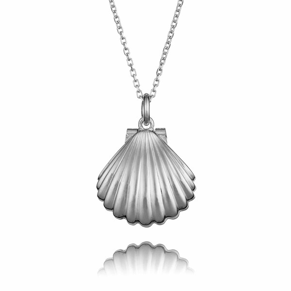 Clam Shell Jewelry - Etsy