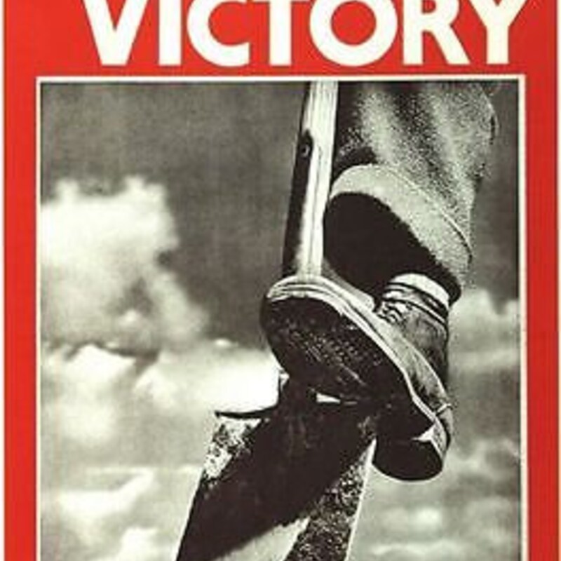 Dig for Victory Poster - Etsy UK