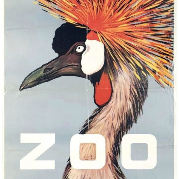 Vintage Zoo - Etsy