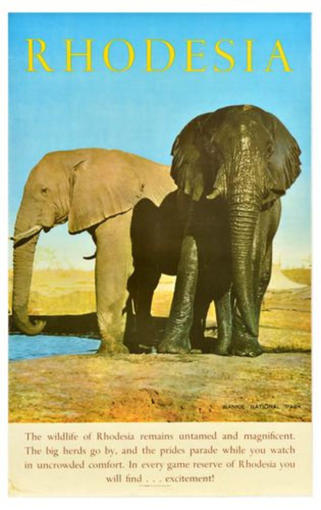 Vintage Southern Africa Elephant Tourism Poster A3/A4 - Etsy