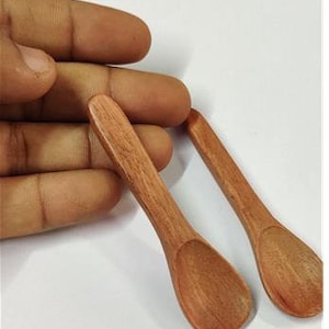 Wooden Tiny Spoons Salt/sugar Mini Spoons Pack of 50 Pieces Handmade ...