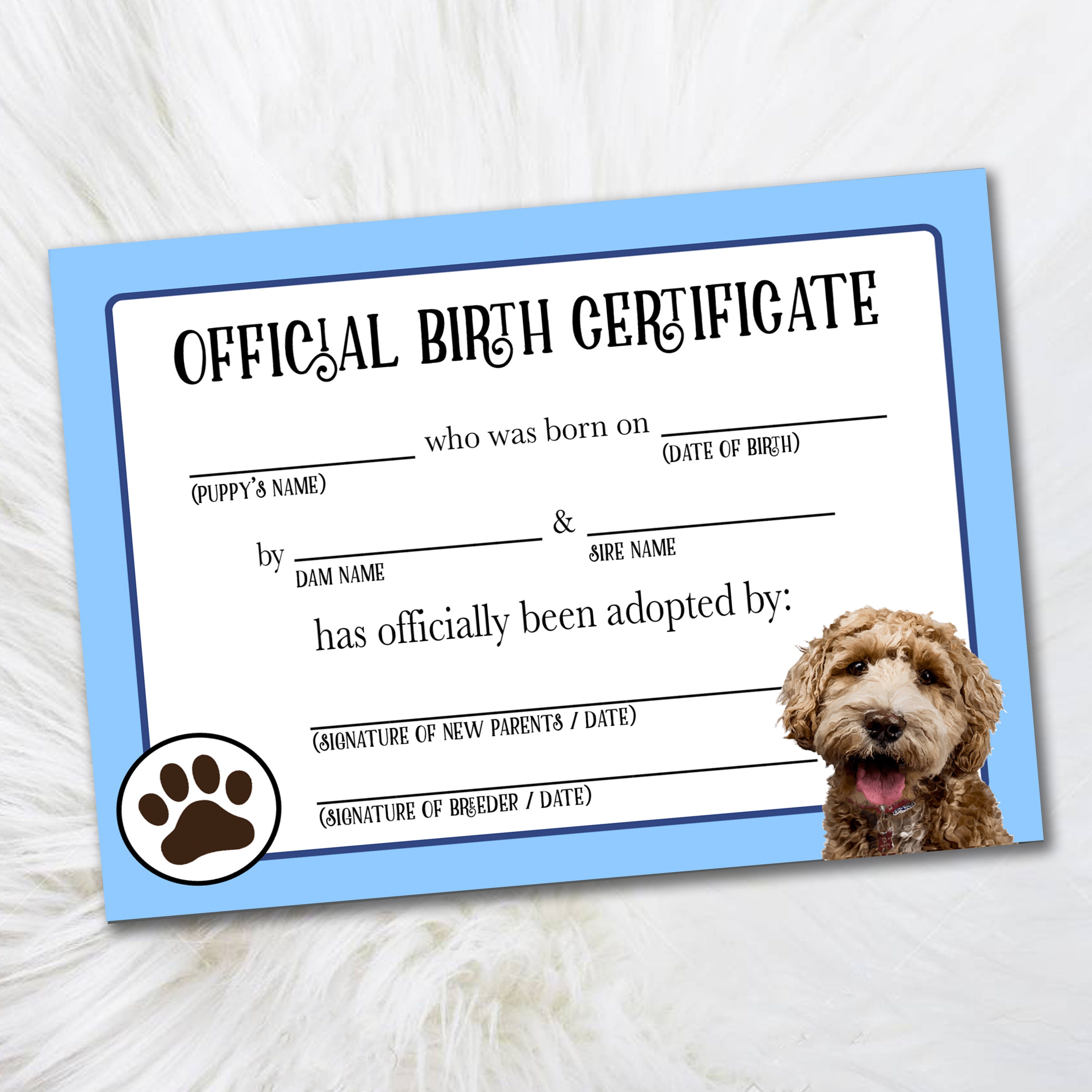 certificado de adopcion mascotas, Certificado de | uDocz ... certificado de adopcion mascotas, Certificado de | uDocz ...